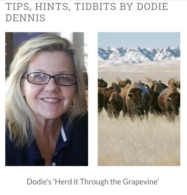 25 Clever Uses for Rubber Bands – Clever Journeys