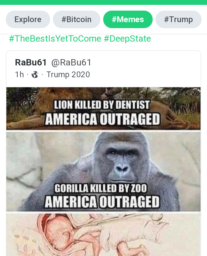 Beginner’s Easy How to Guide for Gab – Clever Journeys