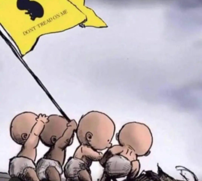 Roe vs. Wade, The Memes – Clever Journeys