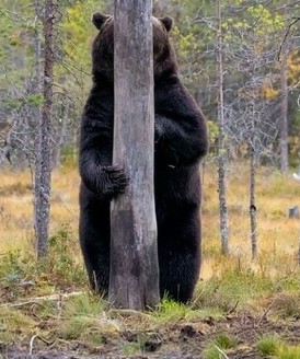 What Does Runbeck Election Services Say About Donations to Leftist ...