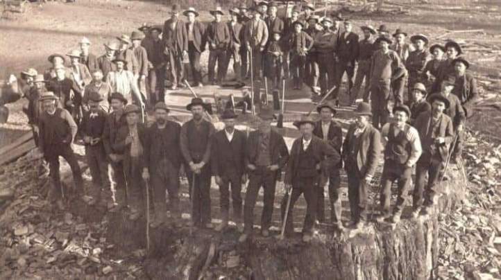 The Day They Cut the Mark Twain Giant Sequoia Tree Down – Clever Journeys
