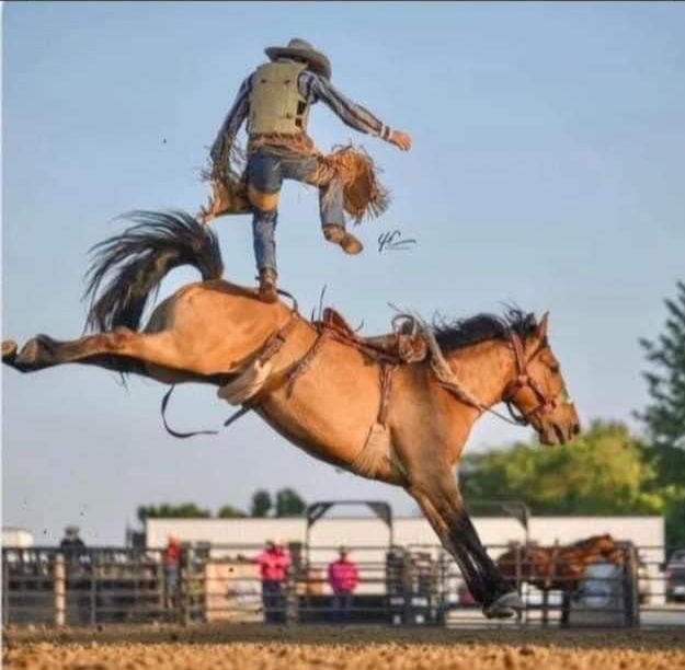 When You Come to Texas, Know This… – Clever Journeys