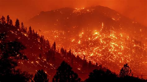 Professor of Cult, Deviant Behavior, Criminology Convicted in Starting ...