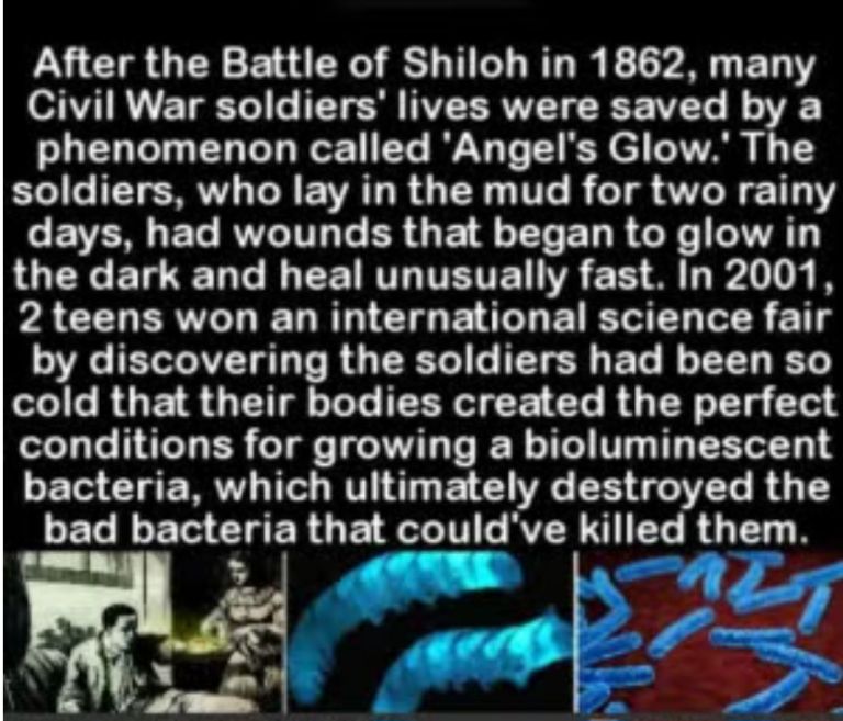 How ‘Angel’s Glow’ Saved Injured Soldiers at Civil War Battlefield ...