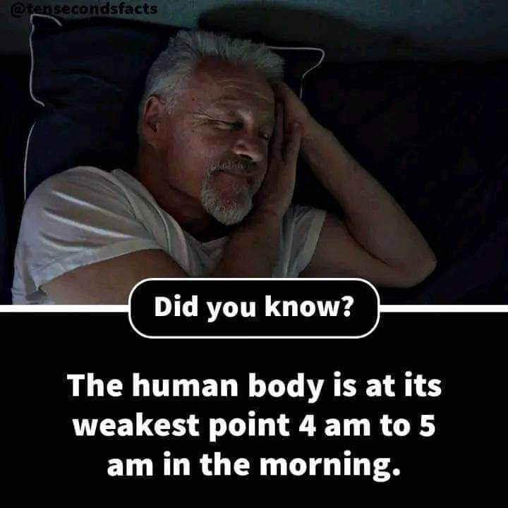 10 Clever Facts Most Don’t Know – Clever Journeys