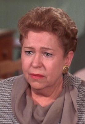 Classic TV: Mayberry RFD – Clever Journeys
