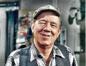 Classic TV: Mayberry RFD – Clever Journeys