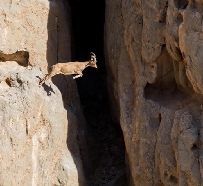 Let Your Eyes Look Directly Forward – Clever Journeys