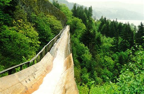 Miles of Logging Flume Provided Exhilarating Joy at Hood & Columbia ...