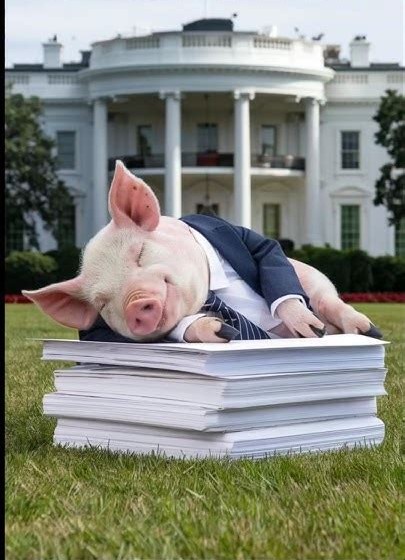 Senator From Maine Named Porker of the Month for August 2025 – Clever ...