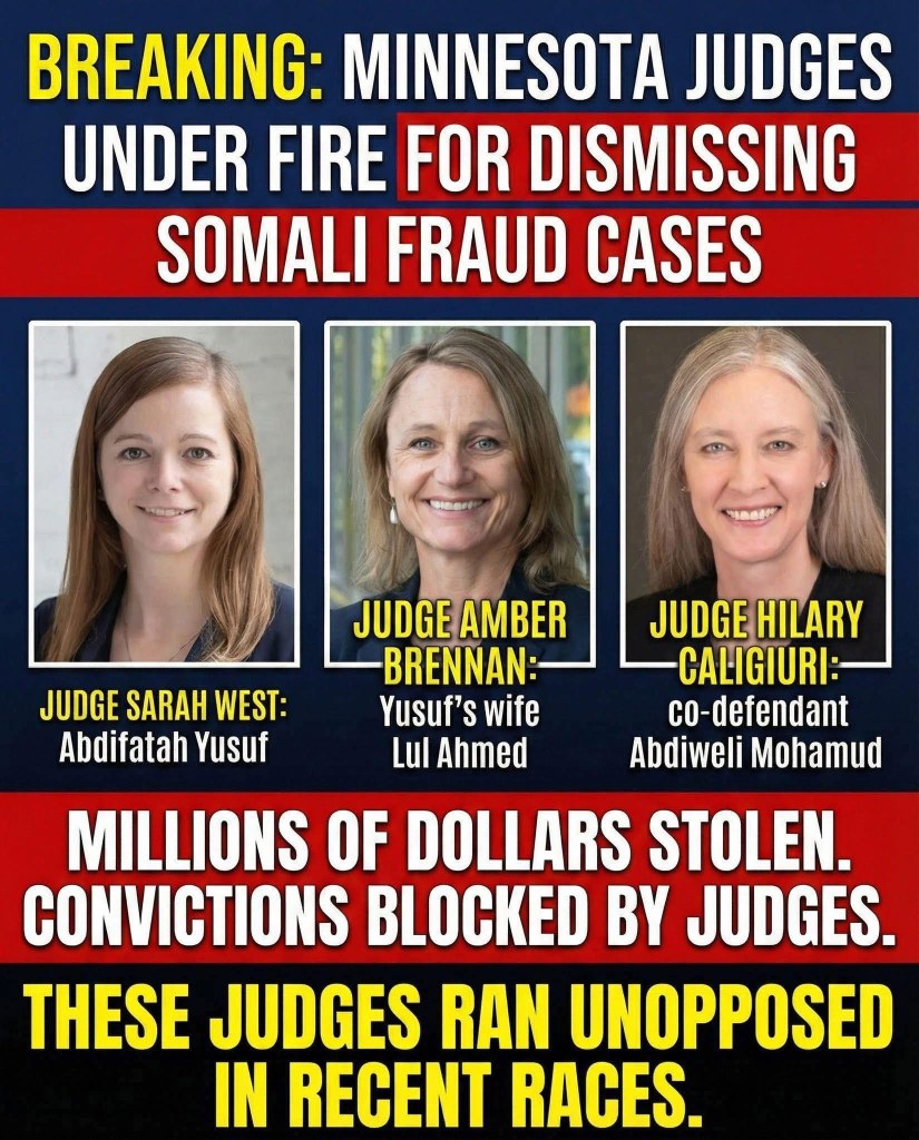 Minnesota Judge Says Jury Was Wrong in $7.2 Million Medicaid Fraud Case ...