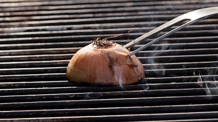 12 Good Grilling Tips That Actually Work – Clever Journeys